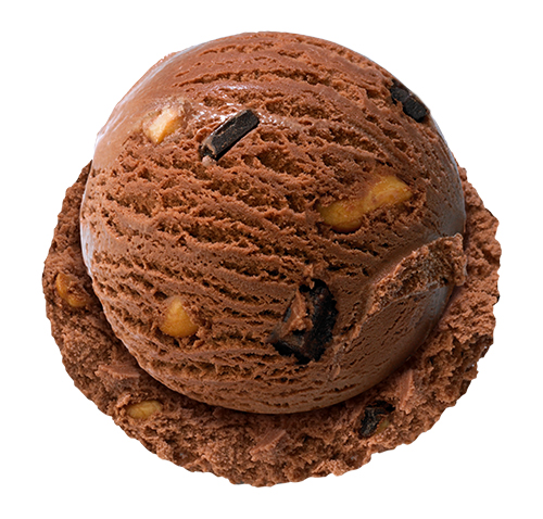 Chocolate Rain Forest | Swensen's