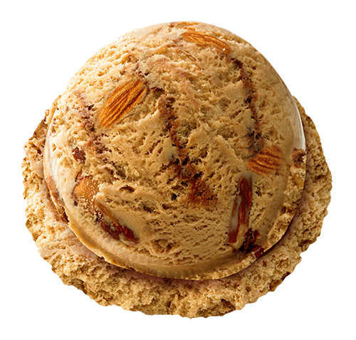 Mocha Almond Fudge | Swensen's